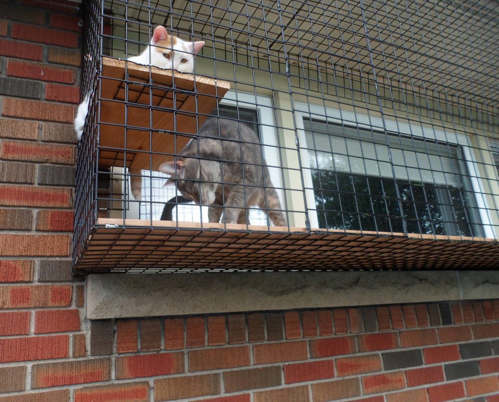 Window Catio Enclosures - Catbitats.com